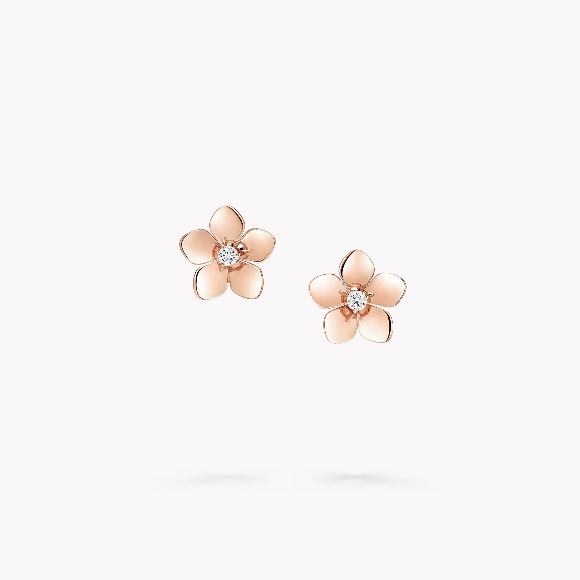 Wild Flower迷你耳環, 玫瑰金 | 格拉夫