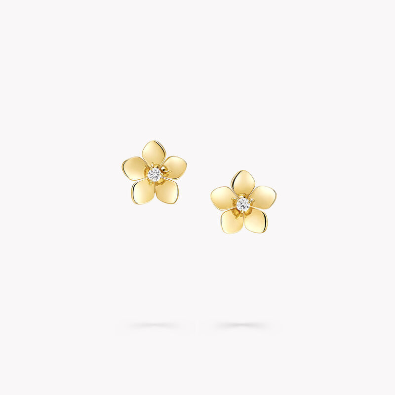Wild Flower Mini Earrings, yellow gold - Graff