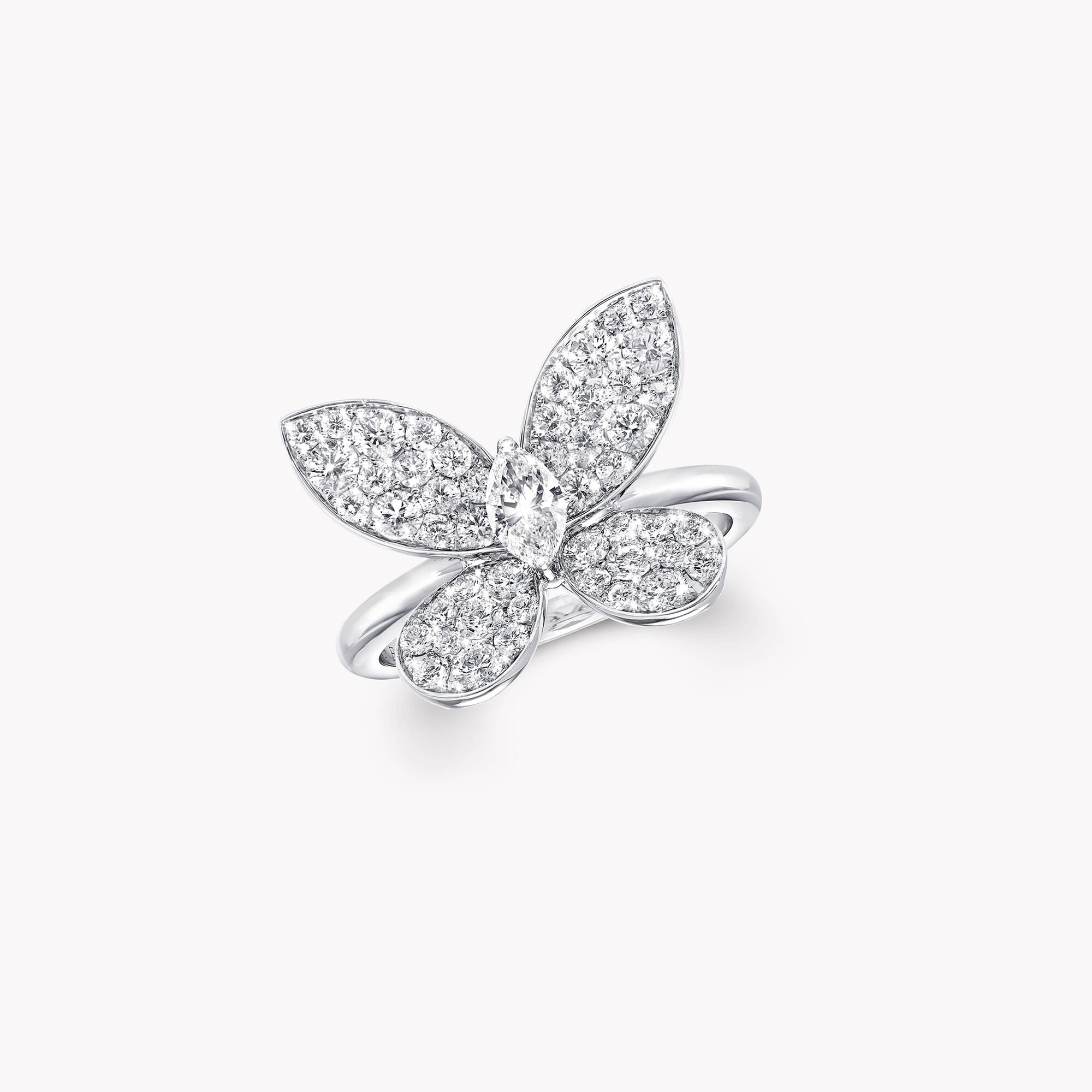 Pavé Butterfly Diamond Ring, White Gold - Graff