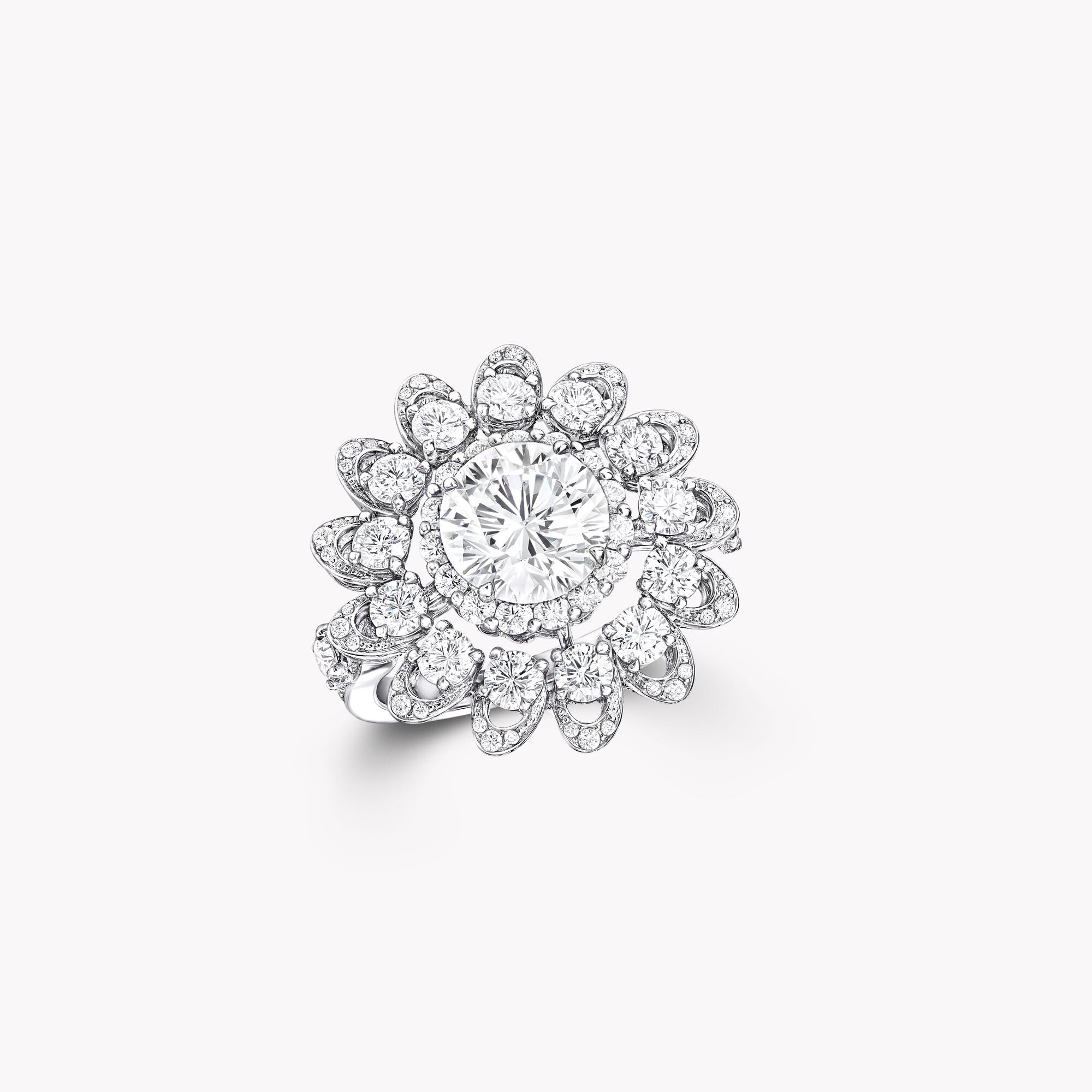 Graff Gateway Classic Pavé Diamond Ring, White Gold - Graff