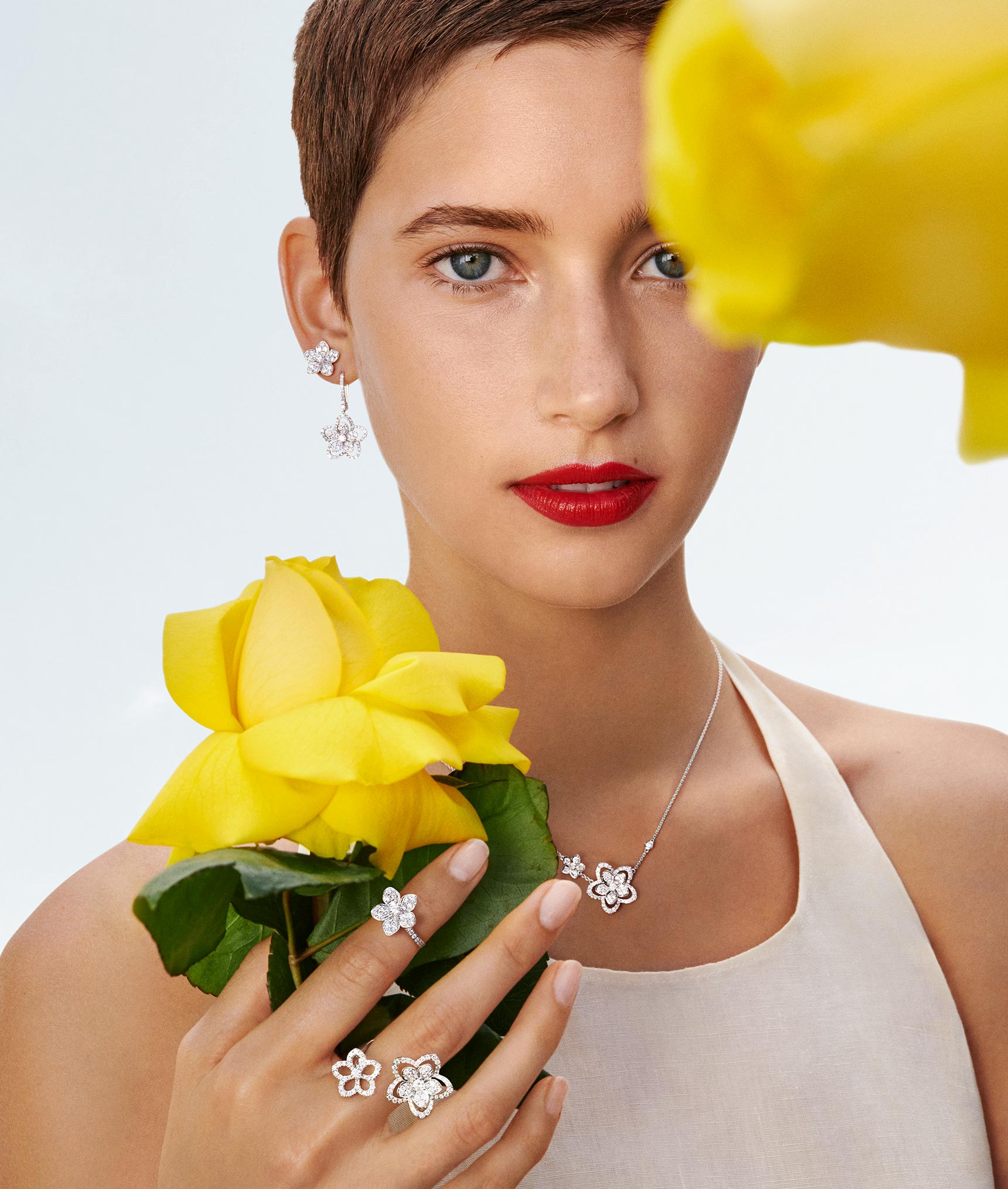 View By Collection | Graff INT